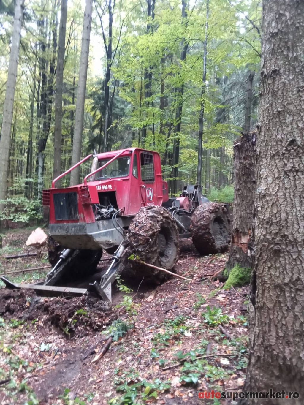 Anunt utilaje agricole TAF PERKINS - Arges, - autosupermarket.ro